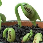 What’s the easiest way to tell someone you love them? With a magic bean ...
